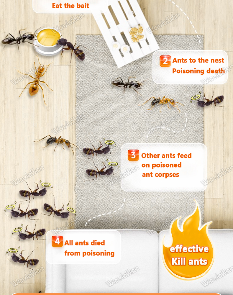 Strongest - Ant Killer Bait SG Ant killer Ant bait Semut racun Anti ant ...