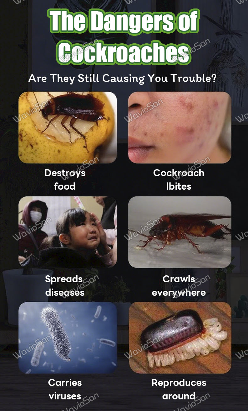 【Ship now】HB Cockroach bait Cockroach killer Infectious death, the ...