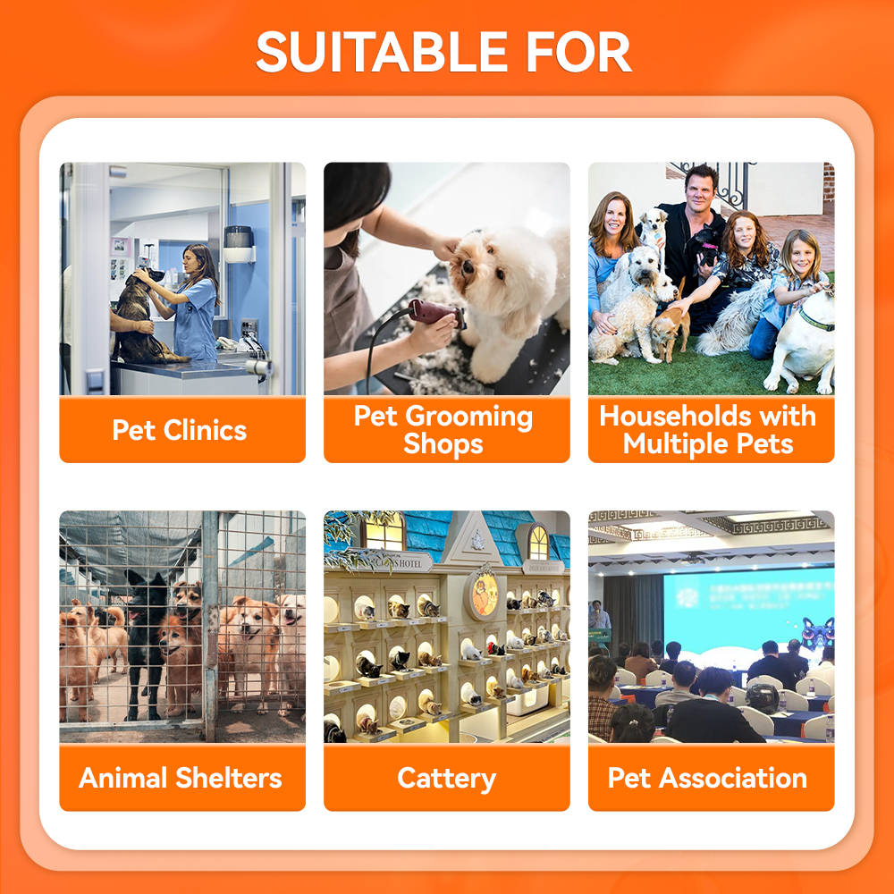 【BULK PURCHASE BUNDLE】PUAINTA Pet Dewormer Tablet Anti Hookworm ...