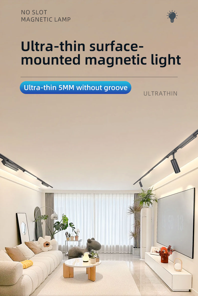 CANMEIJIA LED Magnetic Track Light 48V Modern LED Linear Light Magnet ...