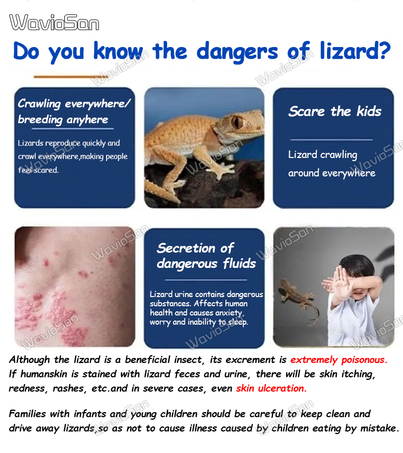 Kill all lizards in one day Verve Lizard killer Racun cicak paling ...