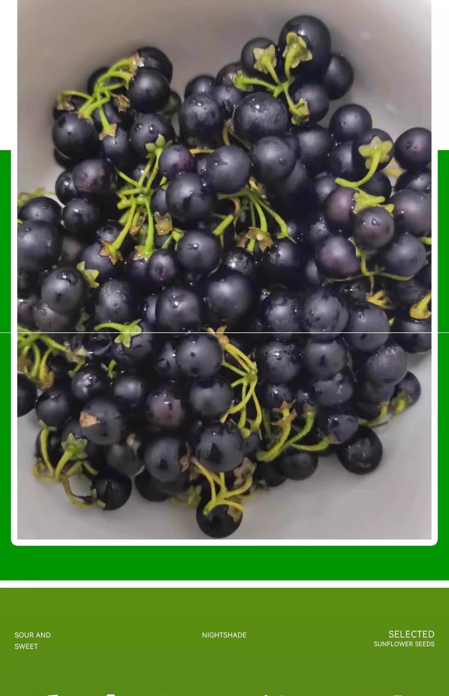 Dragon Kui Seed 野生龙葵种子迷你黑色浆果种子 Mini Black Fruit Seed Sweet and Sour ...