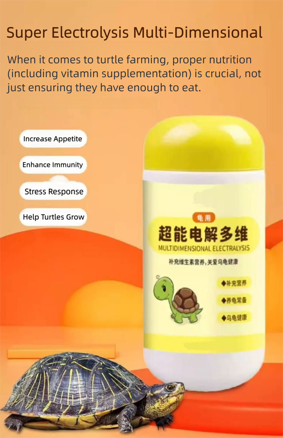 DOLAIMENG Turtle Tortoise Electrolyte Multi Vitamin Hydration ...