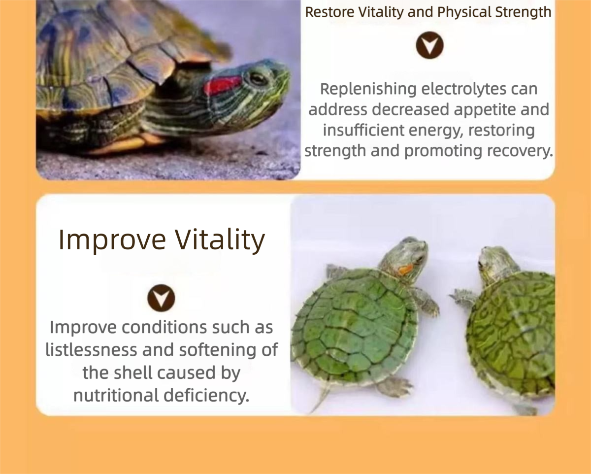 DOLAIMENG Turtle Tortoise Electrolyte Multi Vitamin Hydration ...