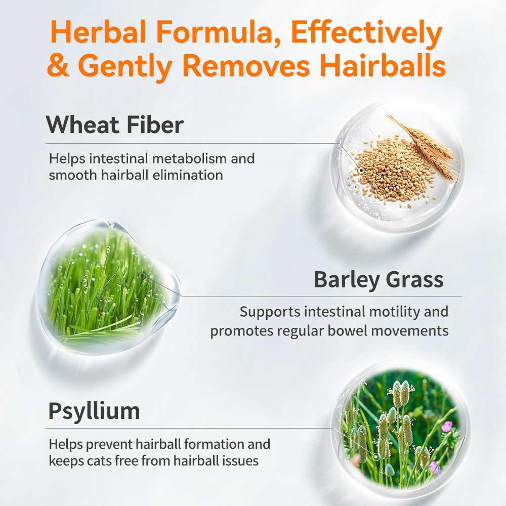 PUAINTA Hairball Solution Cat Hairball Remover Stomac Protect Enhances ...