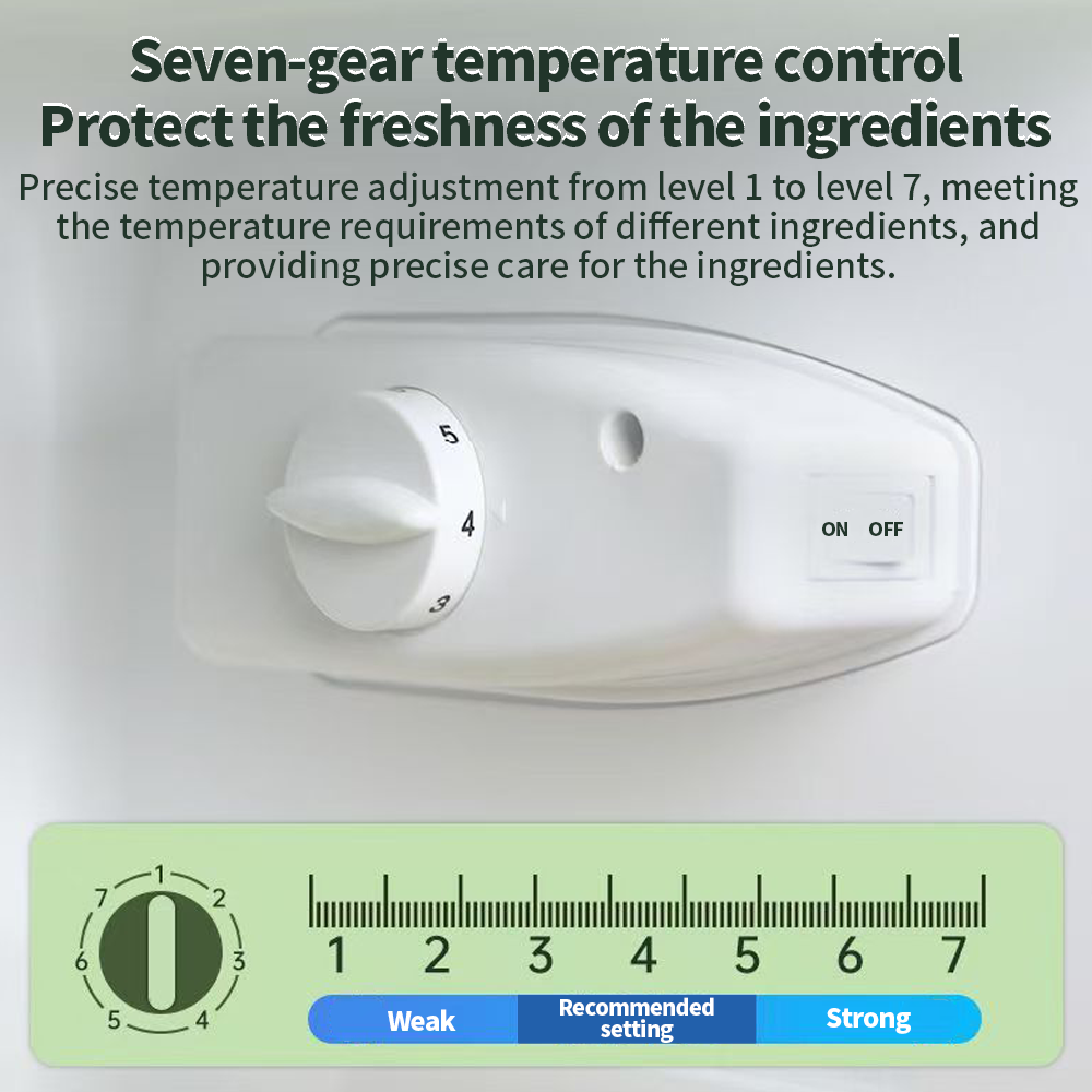 HOMEFUN Mini Refrigerator With Freezer 2 Door Refrigerator Energy ...