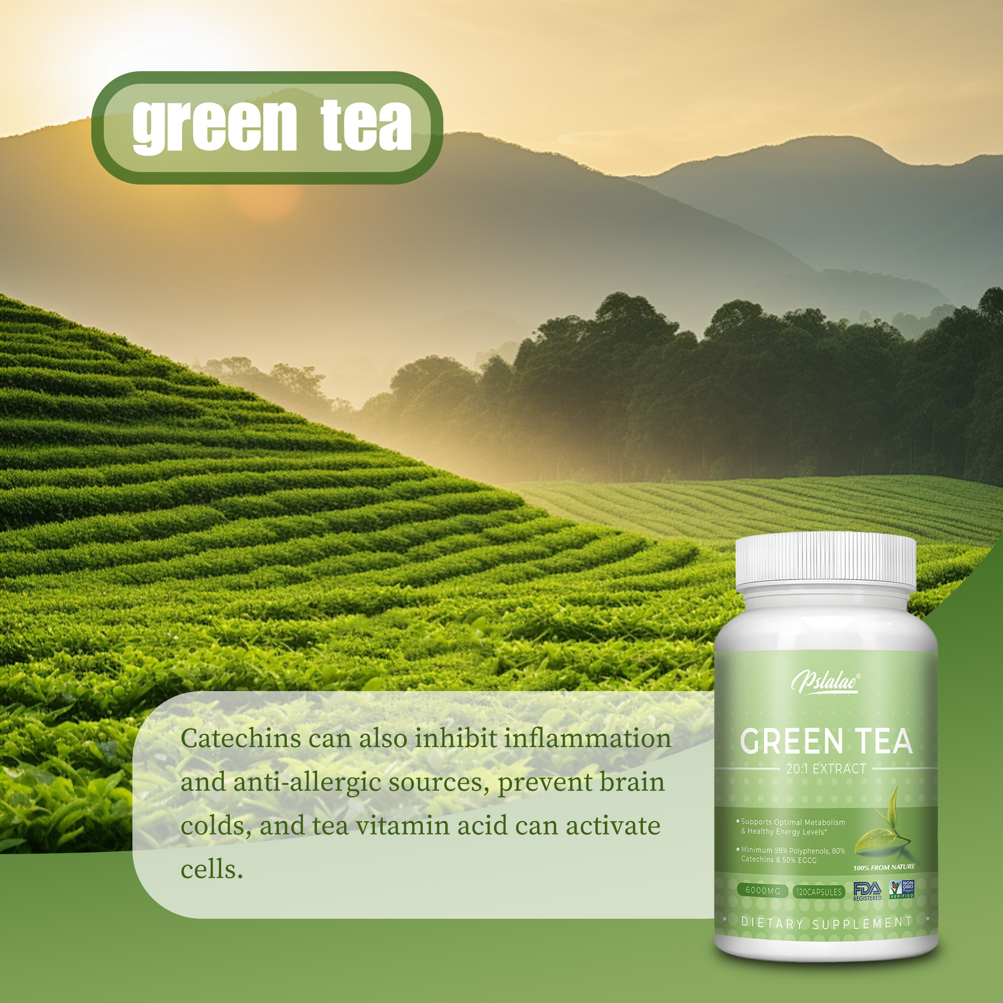 Green Tea Extract, 20:1 Strength, 300 mg, 50% EGCG, 98% Polyphenols and ...