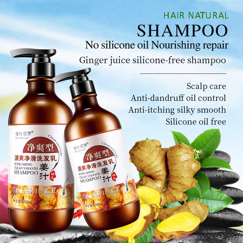 Ginger Hair Shampoo Anti hair loss shampoo 500ml Anti-itching Anti ...