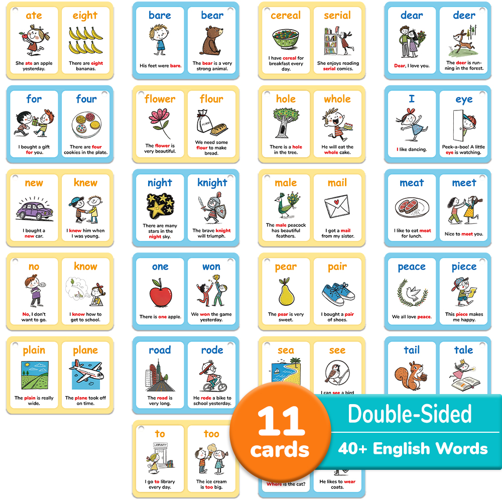 BEAR TALE Kids Homophones Learning Cards English Vocabulary Flashcards ...
