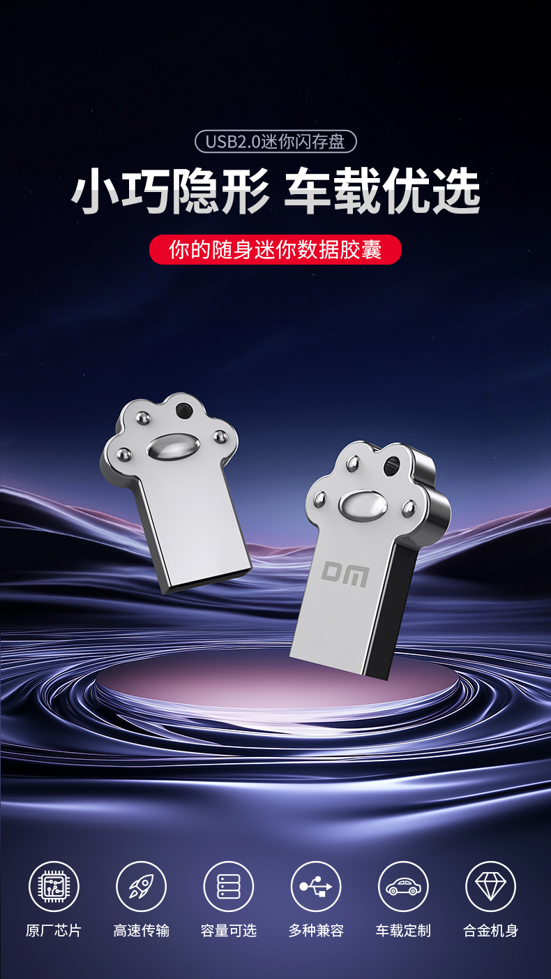 DM PD245 Metal USB 2.0 Flash Drive | All-Metal Durability, Plug & Play ...