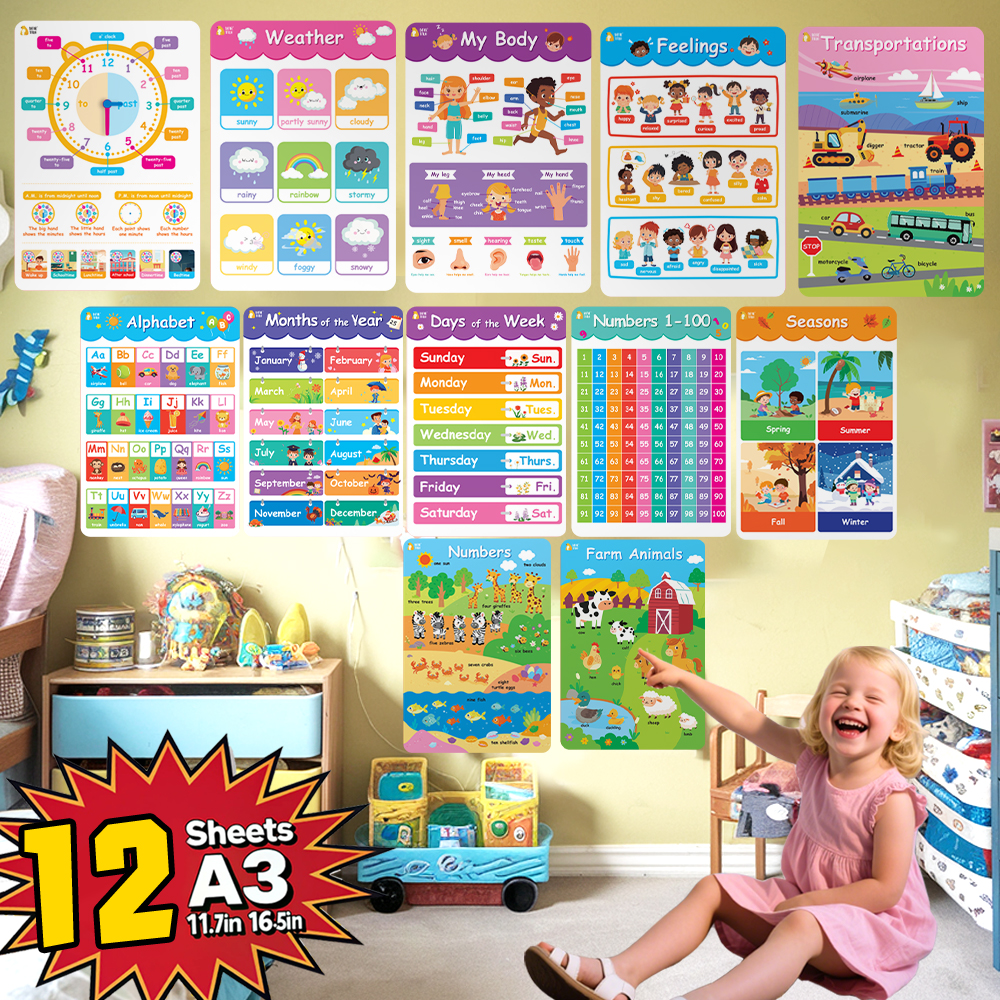 BEAR TALE A3 4 PCS Kids Educational Poster Set Classroom Learning ...