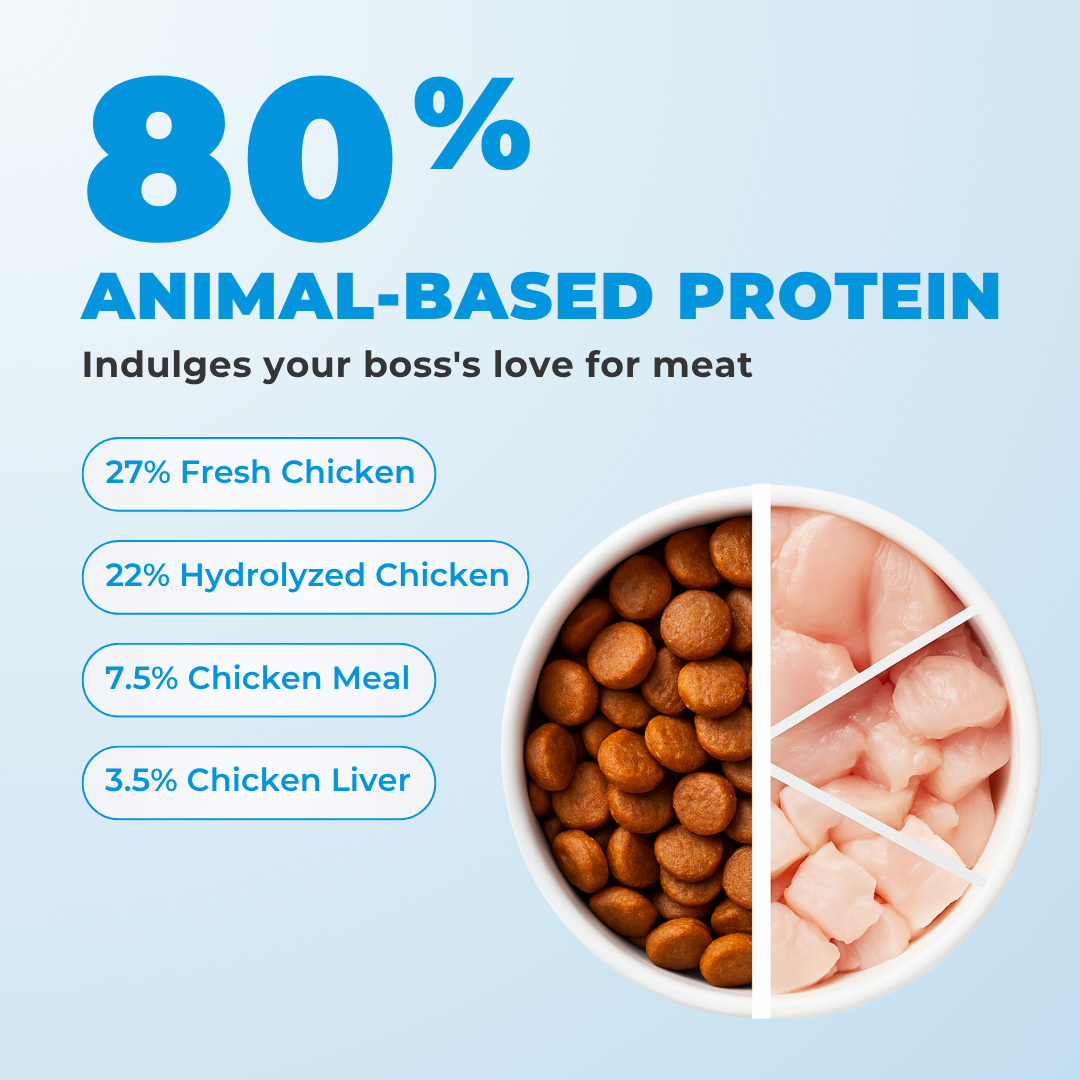 Mr.Vet E3 Nano-Protein™ Dry Cat Food 50g – Easy Digestion, Fast ...