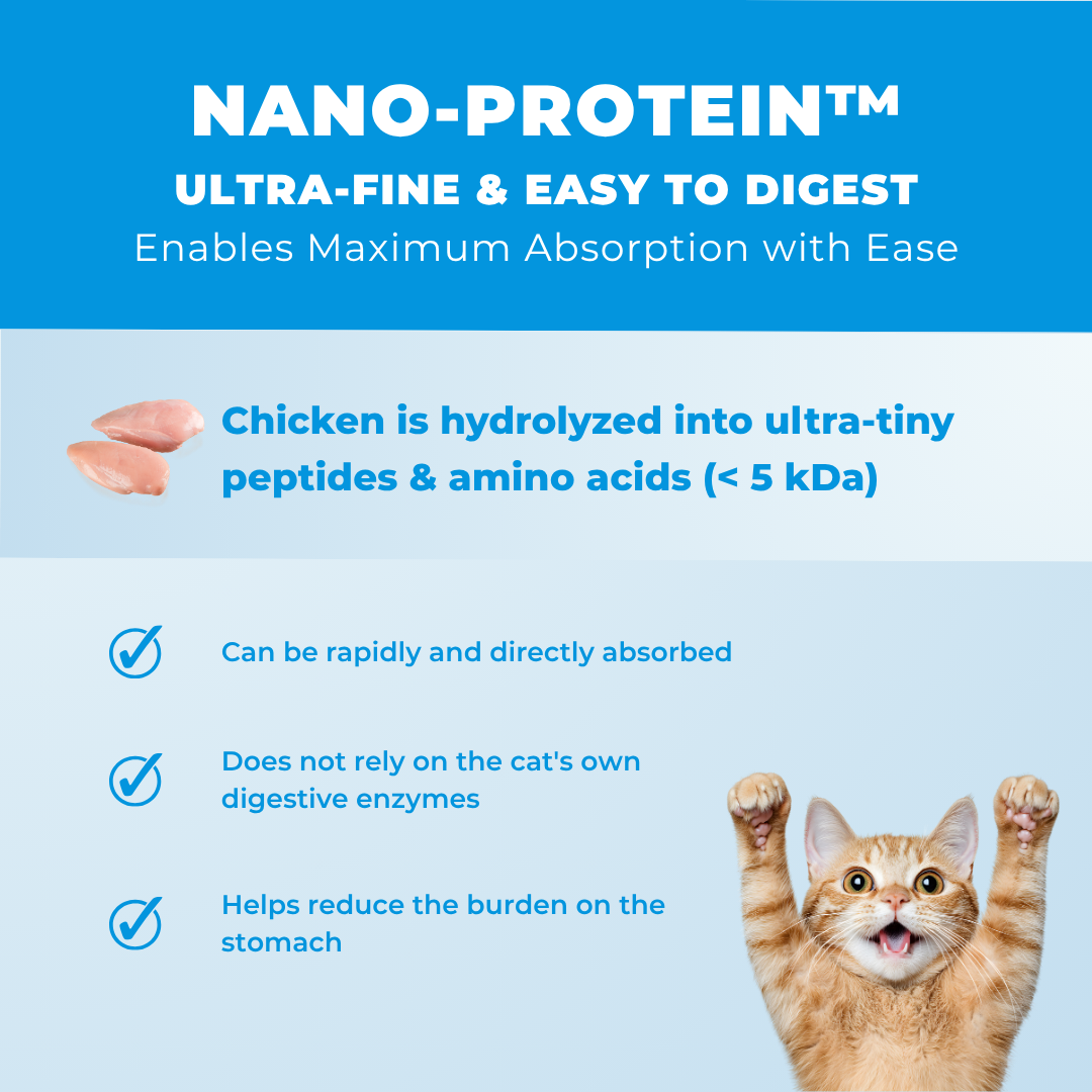 Mr.Vet E3 Nano-Protein™ Dry Cat Food 50g – Easy Digestion, Fast ...