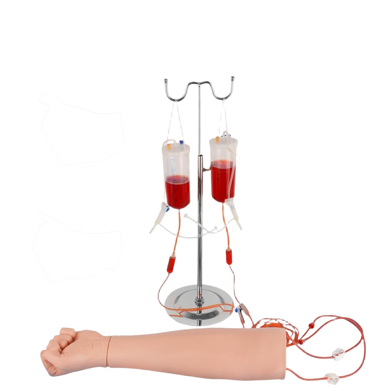 Phlebotomy Practice Arm With Replaceable Skin Design | Shopee Malaysia