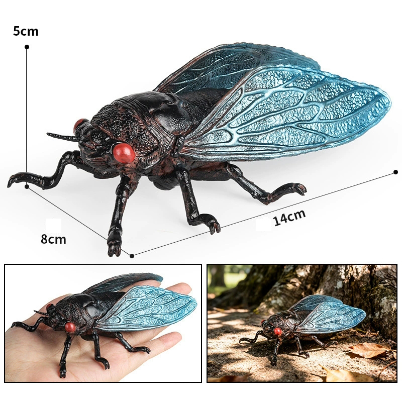 Simulation insect mayfly phasmatodea cicada mole cricket model children ...