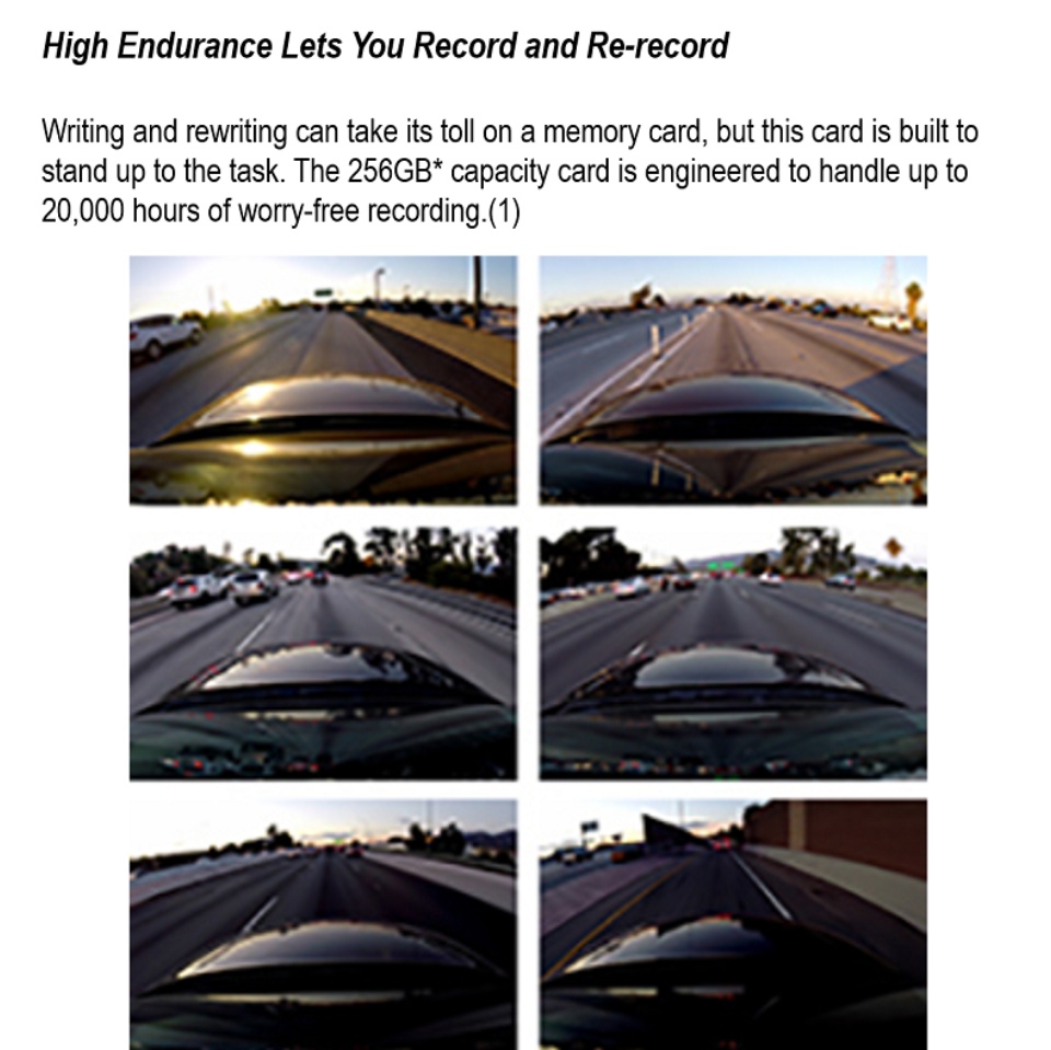 SanDisk High Endurance Micro SD Card with Adapter for Dashcam and ...