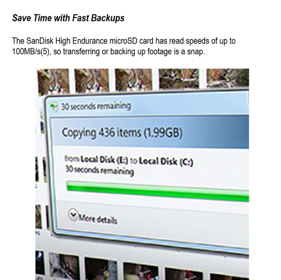 SanDisk High Endurance Micro SD Card with Adapter for Dashcam and ...