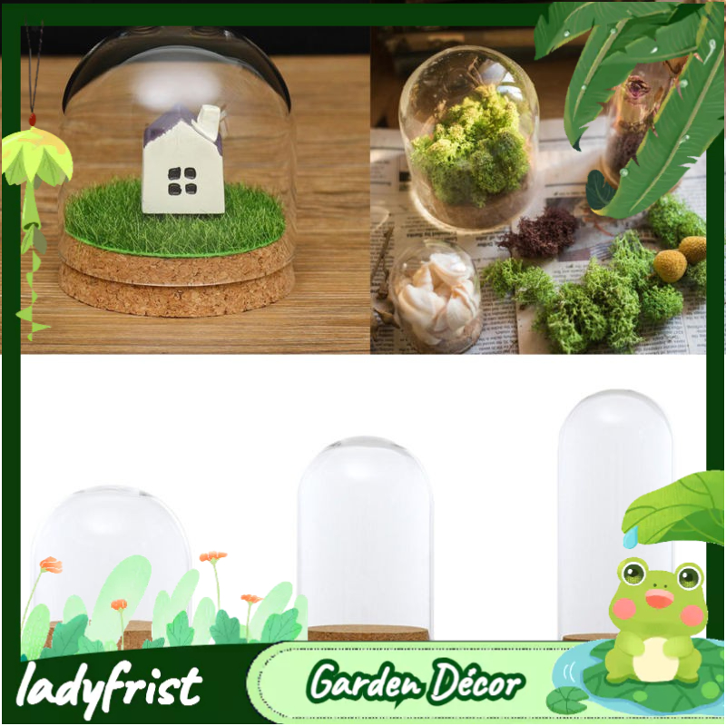 LDY💛1Pc Clear Glass Dome With Wood Cork Base Bell Jar Cover Figurines ...
