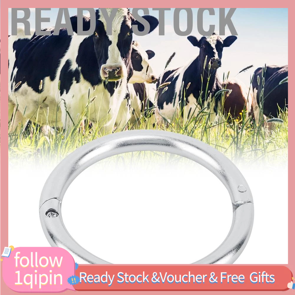 Ready Stock Stainless Steel Bull Cow Cattle Nose Ring Husbandry ...
