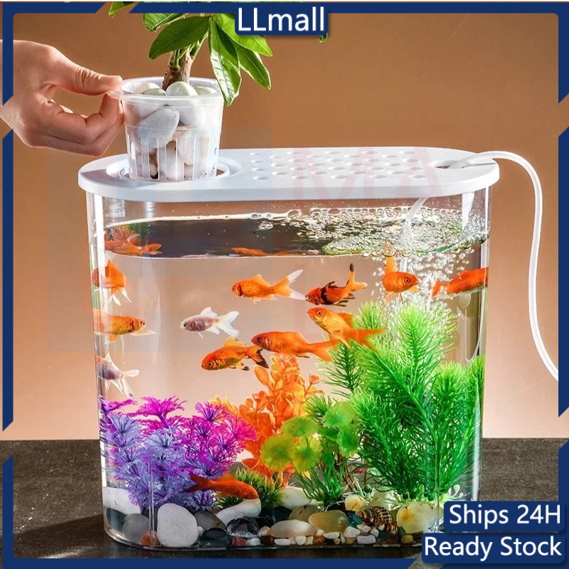 Fish Tank Desktop Aquarium Transparent Fish Tank Small Living Room ...