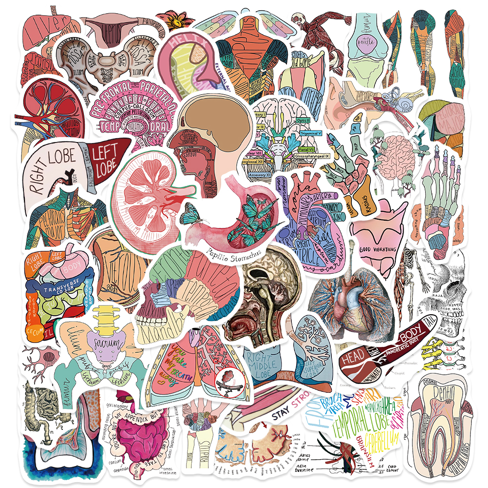 50PCS Cartoon Human Organ Cute Medical Anatomy Sticker Laptop Bicycle ...