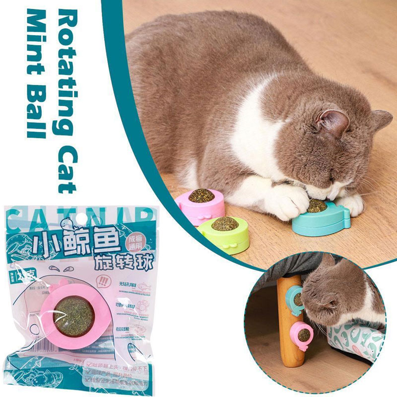 Catnip Cat Mint Ball Toy Catnip for Cats Toy Cat Toys For Kitten Toys Cat Teaser For Cat Pet Toy ...