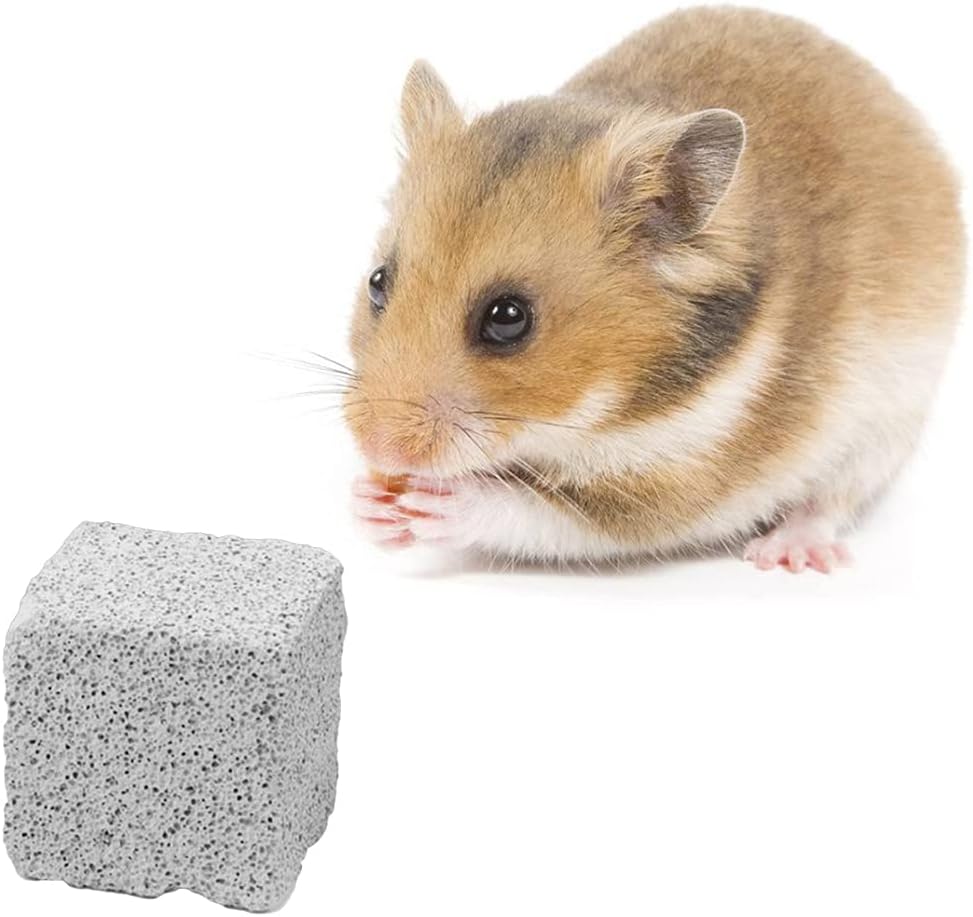Hamster Molar Teeth Stone Small Pet Treats Hamster Food Hamster Treats ...