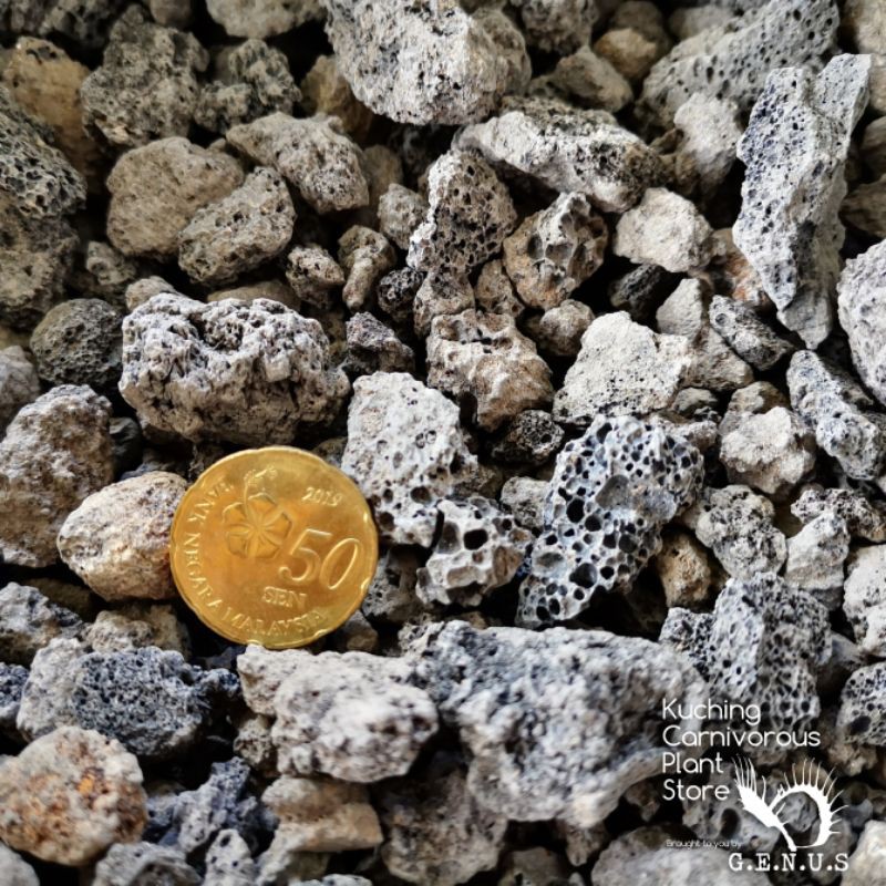 Black Volcanic Rock 黑火山石 12~18 mm (Succulent Soil/ Topping/ aquarium ...