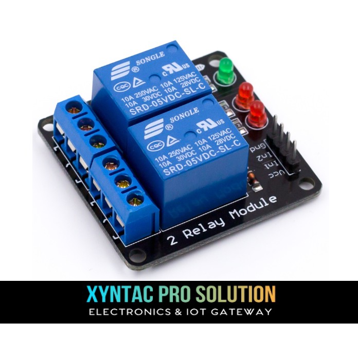 5V 2 Channel Relay 10A 250VAC 30VDC 2-Channel Relay Module | Shopee ...