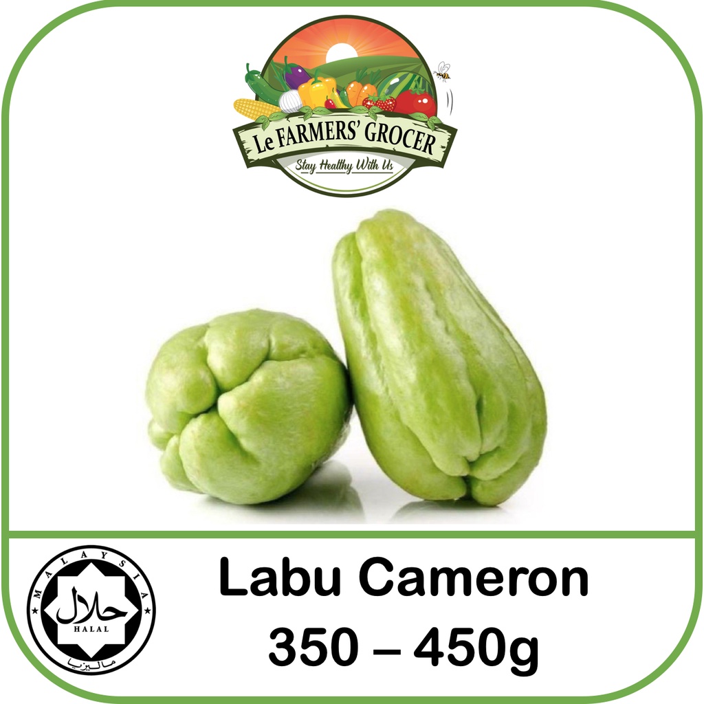 Labu Cameron 佛手瓜 350g-450g Fresh Veg | Shopee Malaysia