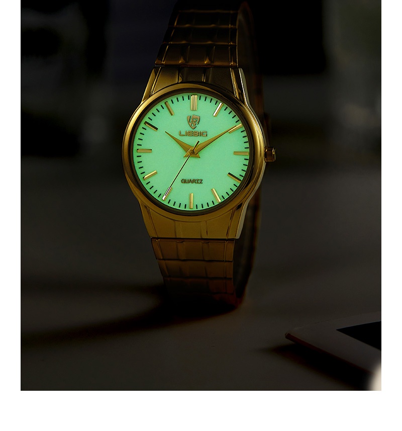 LIEBIG Couple Watch Quartz Watch Stainless Steel Watch 30M Waterproof ...