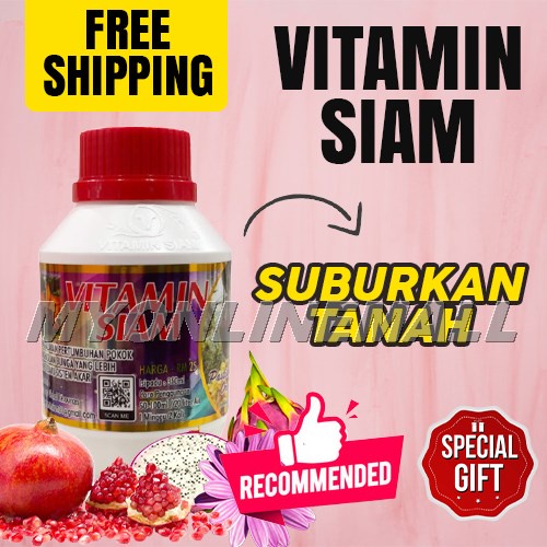 [Baja Siam Viral Murah] Vitamin Siam VITAMIN SIAM ORIGINAL 350ML #bajabunga #bajasiam #baja ...