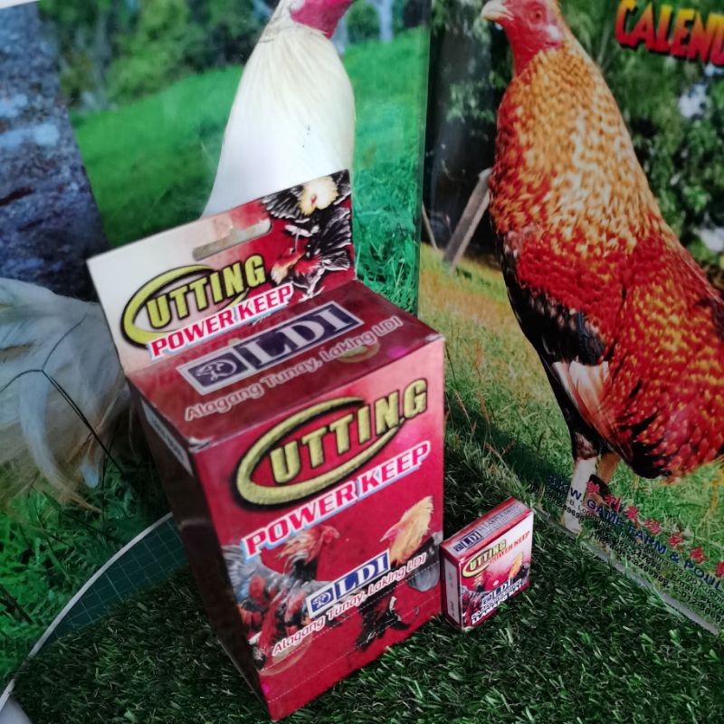 Cutting power keep 7 days conditioning pack | Shopee Malaysia