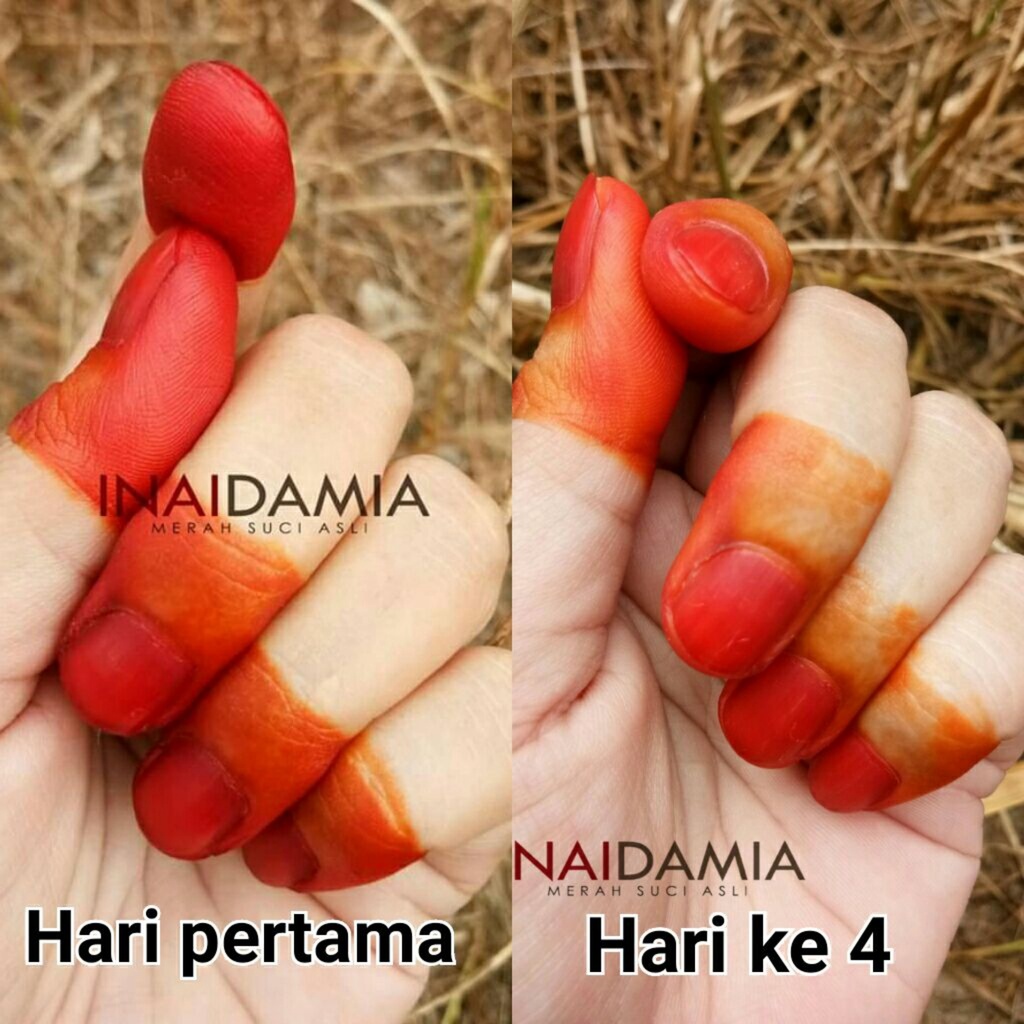 Inai Celup | Inai Damia Celops Redhenna | Inai Daun InaiDamia | Henna ...