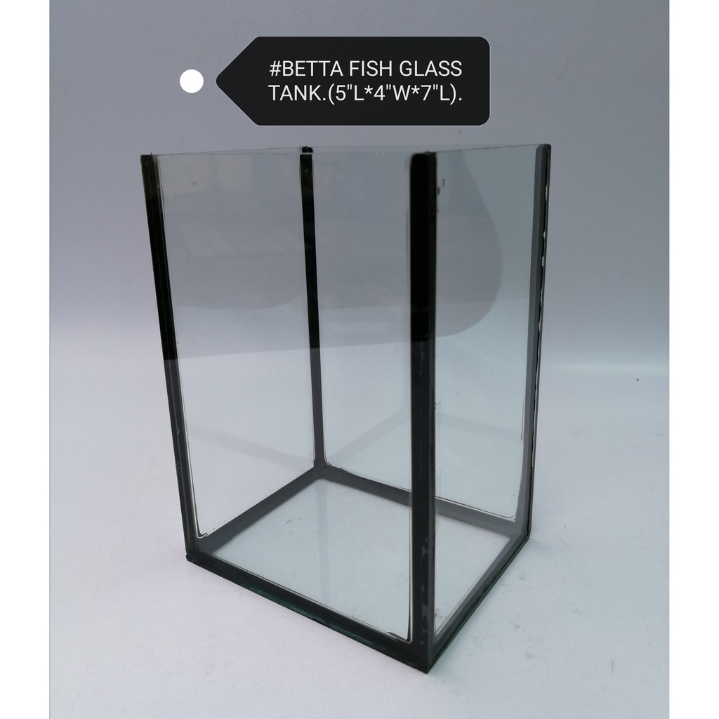 (12xPcs - 1Carton) Betta Glass Tank Small Fish Aquarium 5" x 4" x 7" | Shopee Malaysia