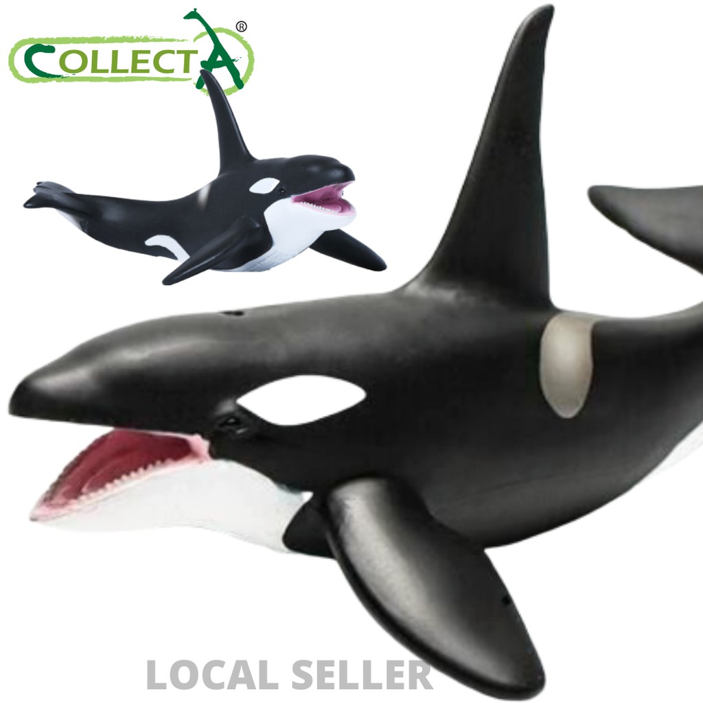 Orca (Killer Whale) - CollectA 88043 Sea Life Animal Action Figures ...