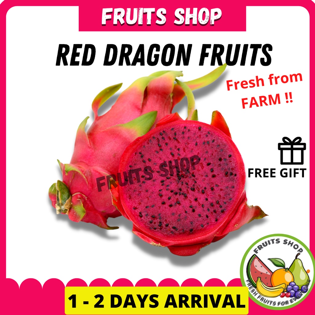[ FRUITS ] Fresh Red Dragon Fruits Buah Naga Merah Segar Farm Food ...