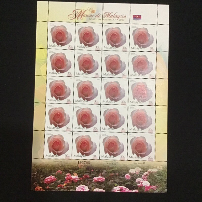 Setem Mawar di Malaysia / Roses in Malaysia PINK | Shopee Malaysia