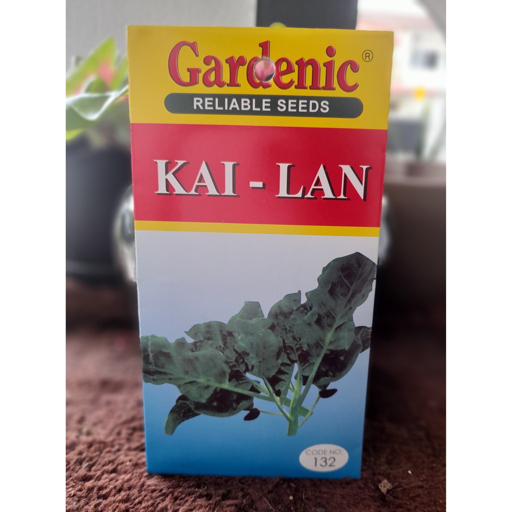 Kai-Lan Seeds (Benih sayur Kai Lan) | Shopee Malaysia