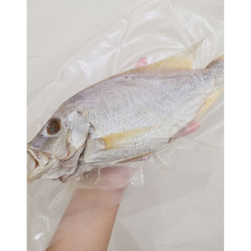 新鲜梅香咸鱼 (红鱼) muiheong ikan masin salted fish 1kg big size | Shopee Malaysia