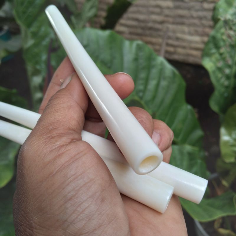 Super Flat Head Cow Bone Pipe 12.13cm / Genuine Bone Cage / Guaranteed ...