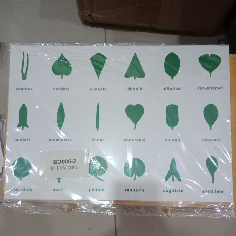 (Ready Stock) Montessori Botany Geometry Cabinet Control Chart ...