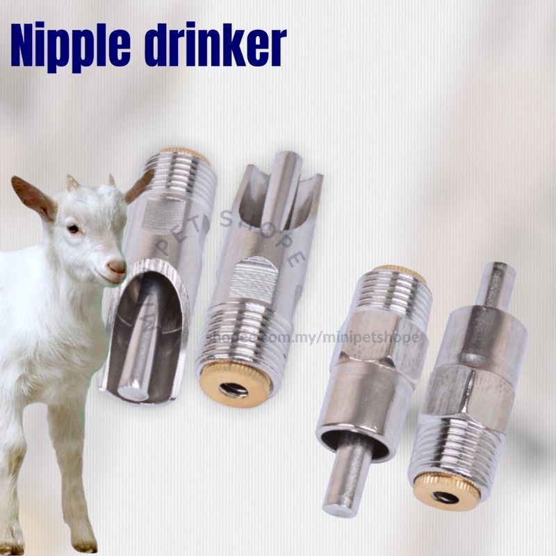 Goat sheep automatic nipple drinker copper cap alat minuman automatik ...