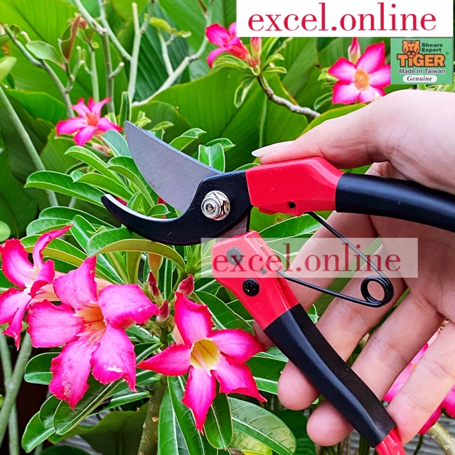 ORIGINAL TIGER K-800 PRUNING SHEARS/ GUNTING DAHAN POKOK BUNGA/ WIRING ...