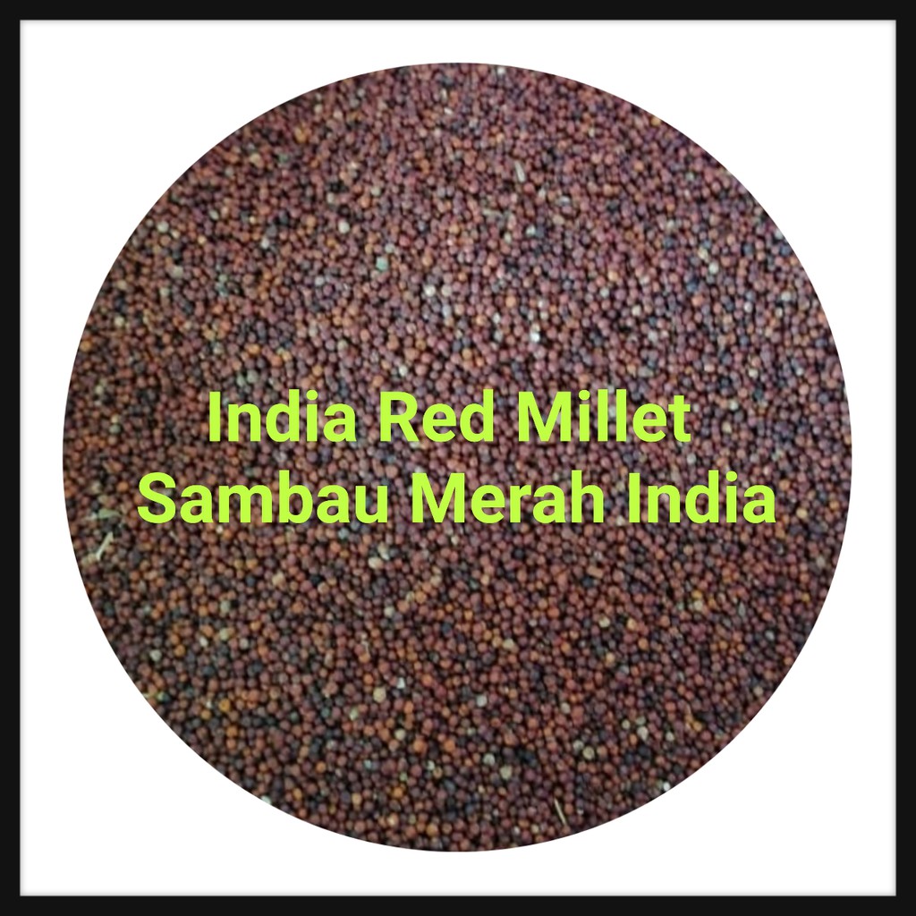 Sambau Burung 500g | Mixed Millet Bird Feed | Makanan Burung | Kambu ...