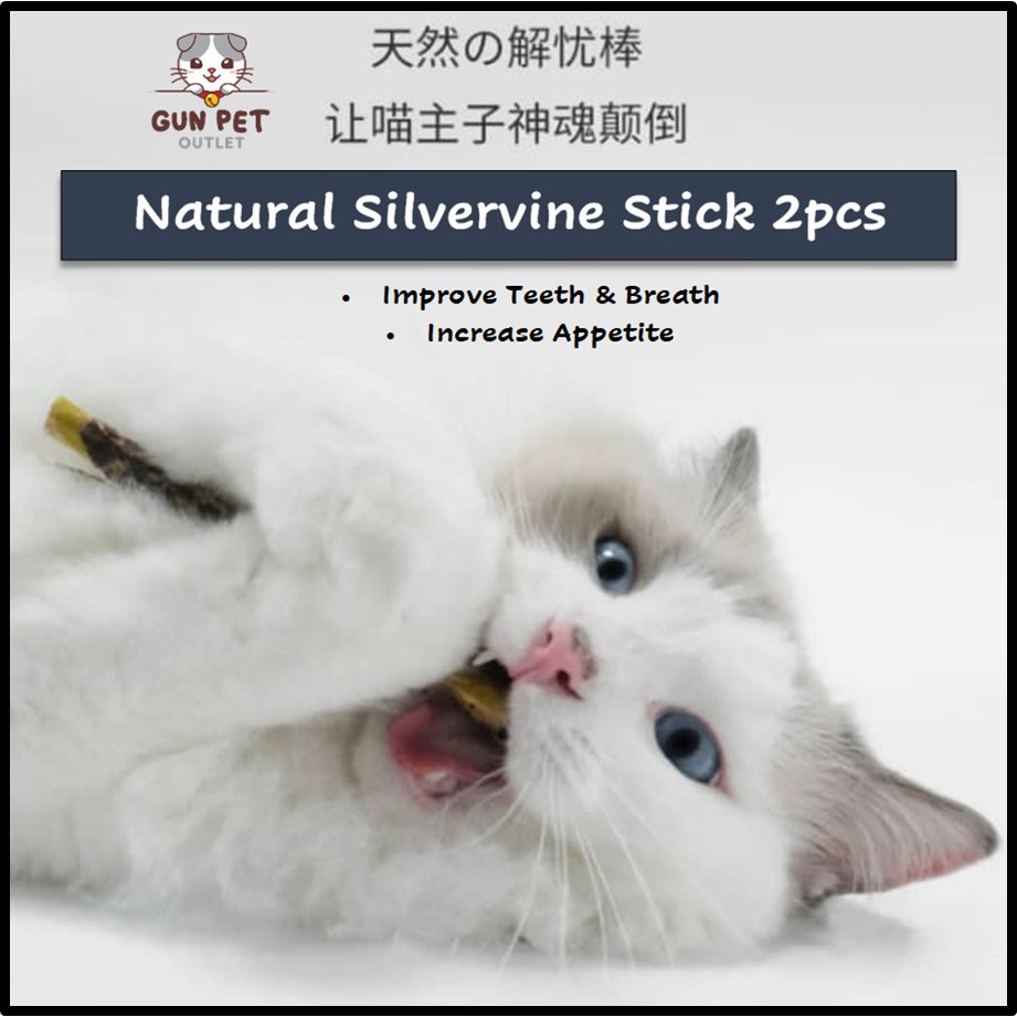 GUN PET Cat Molar Stick Dental Molar Kucing Gigi Bersih Teeth Cat Mint ...
