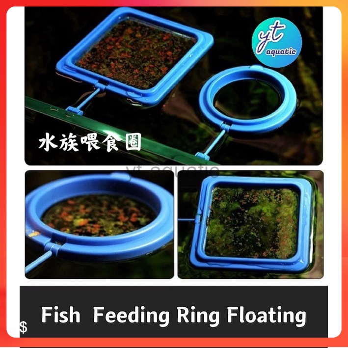 Feeding Ring Aquarium Fish Tank Station Floating Food Tary Feeder ...