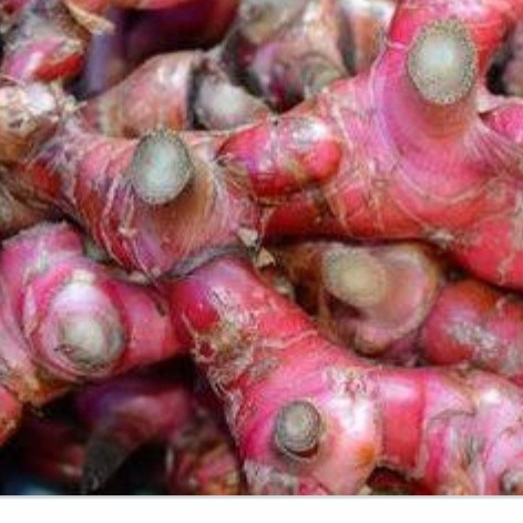 MERAH Red Ginger Fresh Red Ginger 250gram | Shopee Malaysia