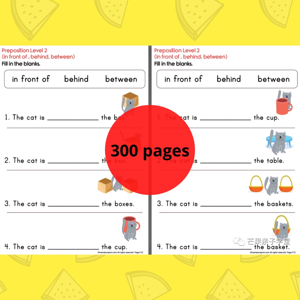  PDF Primary School English Grammar Worksheet 33 Sets 300 Pages