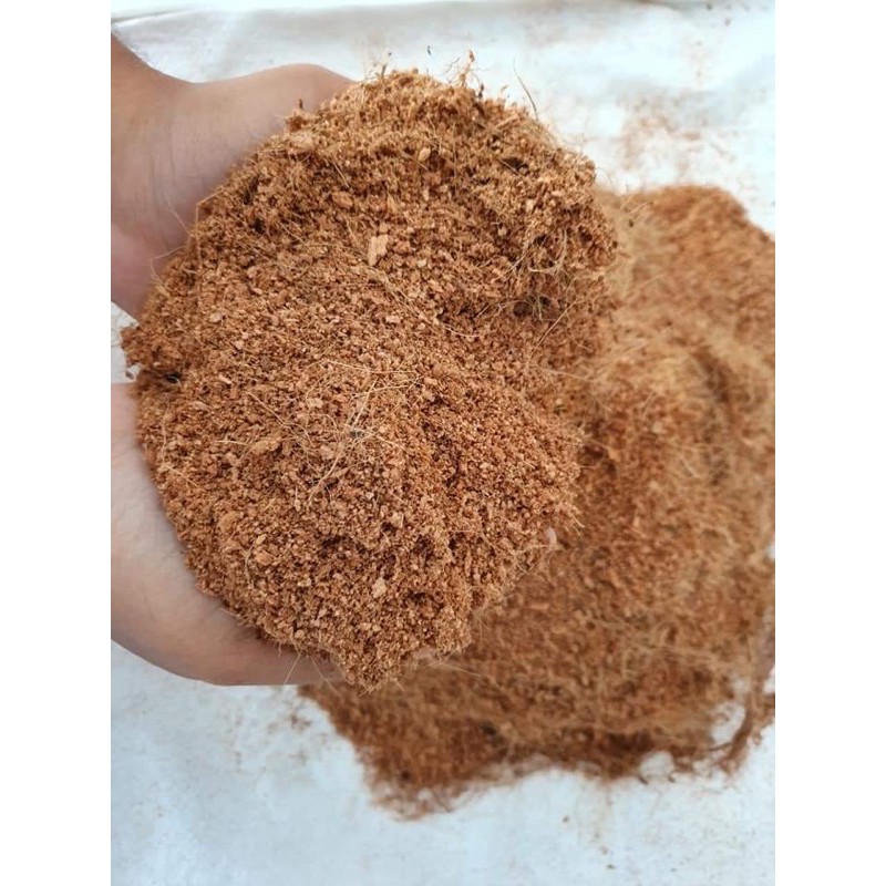 Sabut kelapa halus / Cocopeat / SABUT KELAPA PROSES 1kg | Shopee Malaysia